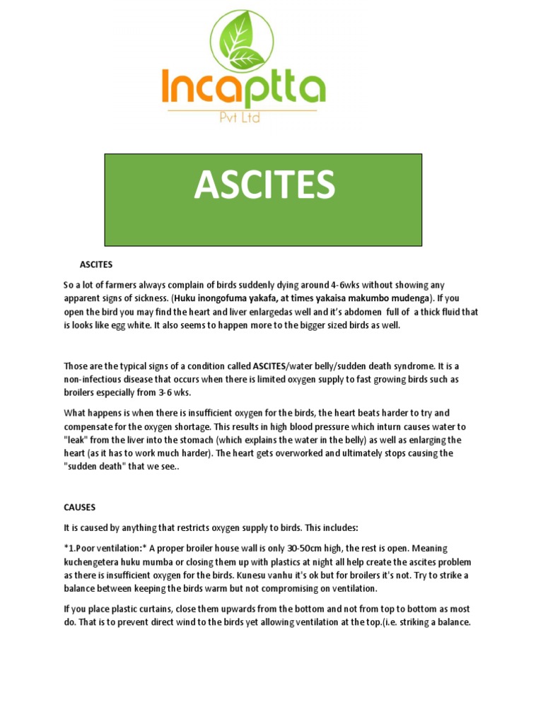 ASCITES | PDF | Breathing | Broiler