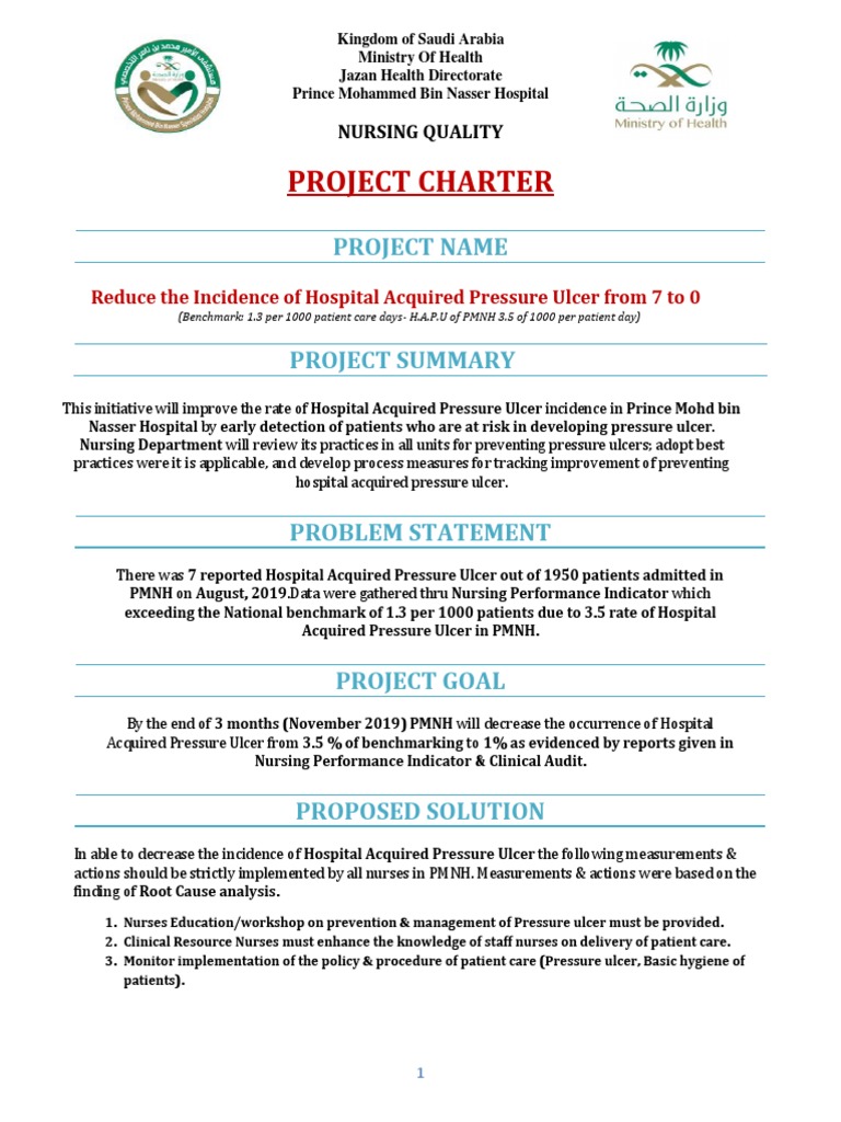 PROJECT CHARTER Pressure Ulcer | PDF | Hospital | Nursing