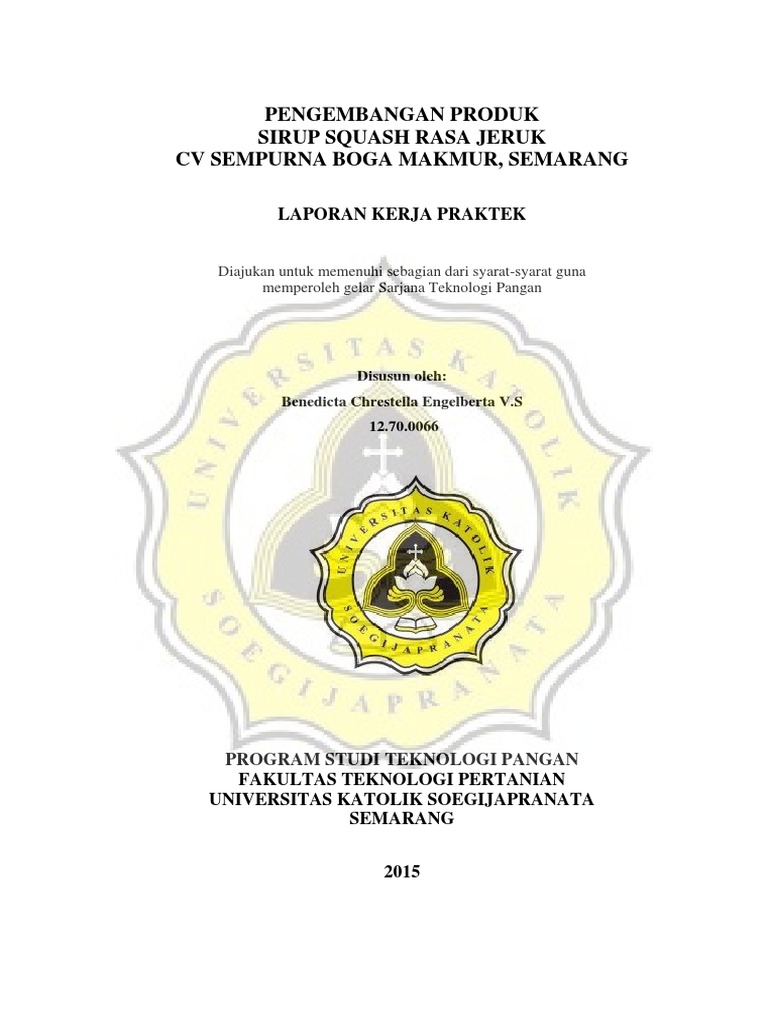 Pengembangan Produk Sirup Squash Rasa Jeruk CV Sempurna Boga Makmur ...