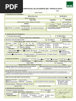 DIAT Word Formato | PDF