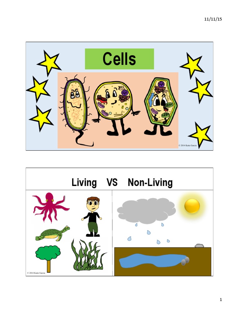 Cells: Living VS Non-Living | PDF | Cell (Biology) | Endoplasmic Reticulum