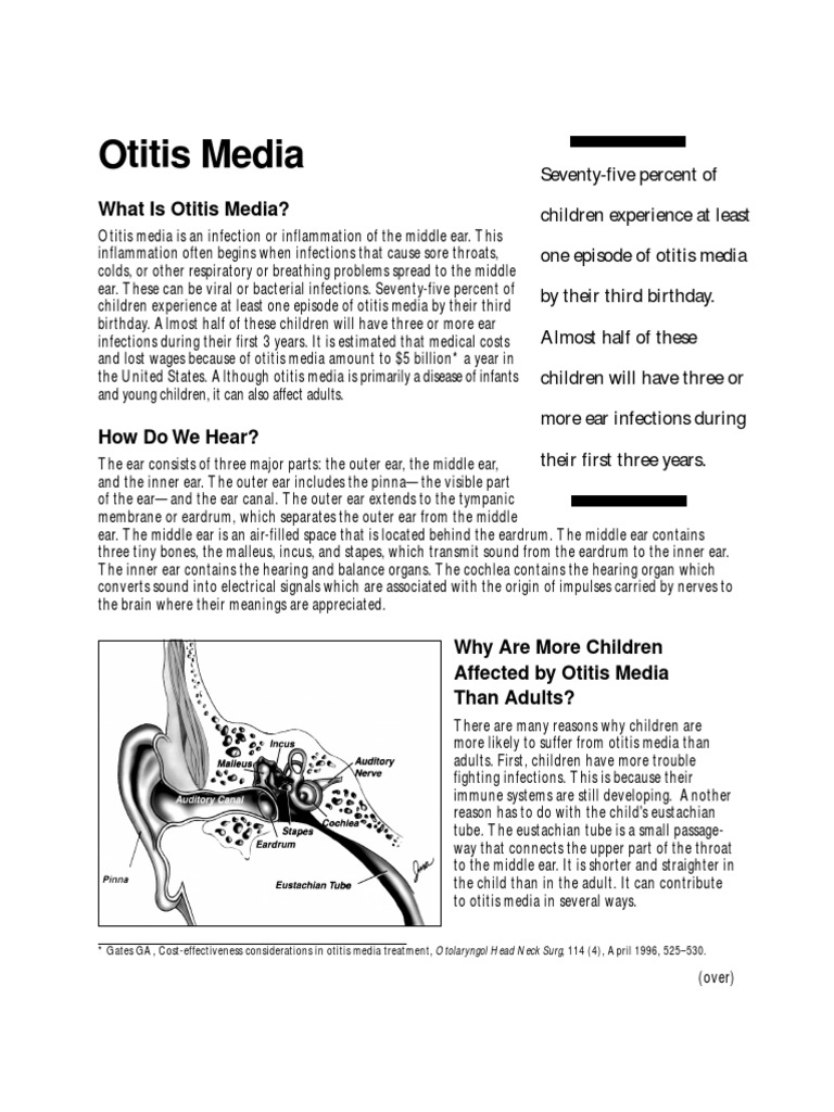 Otitis Media | PDF | Ear | Health Sciences