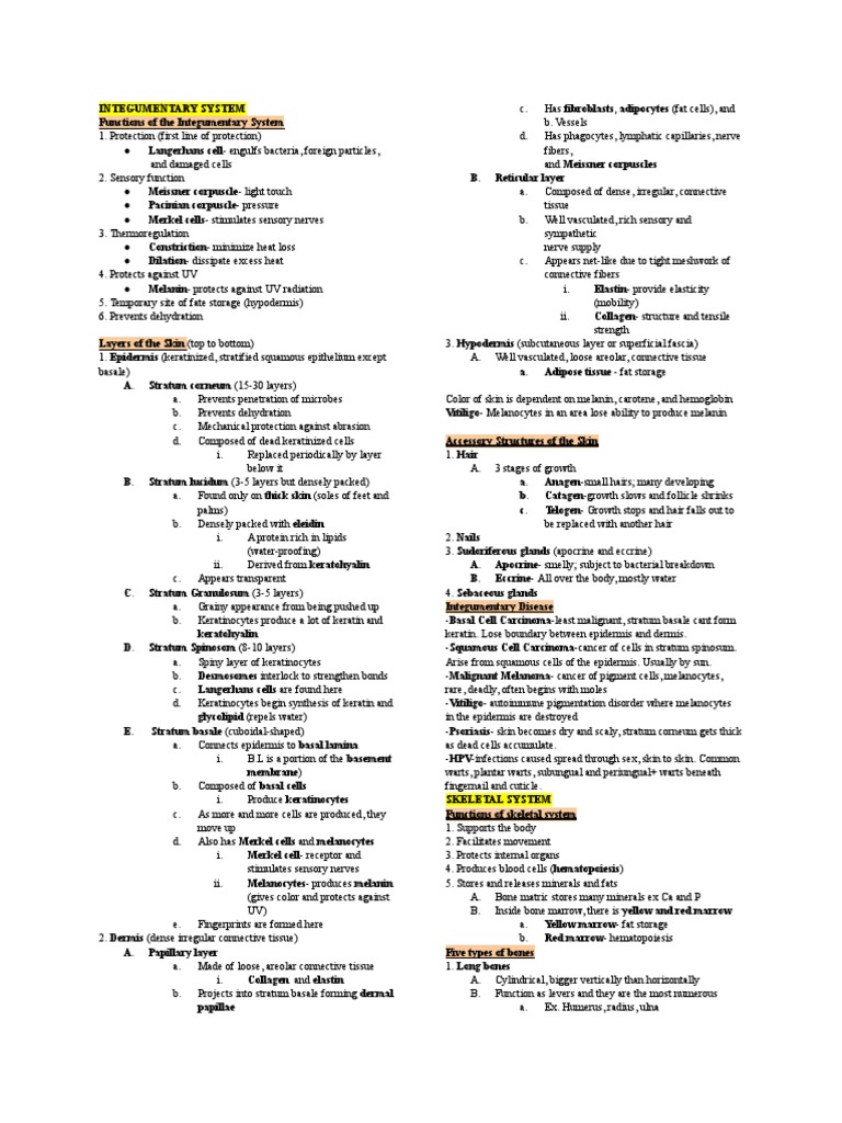 A&P Replaced Cheat Sheet | Download Free PDF | Bone | Muscle Contraction