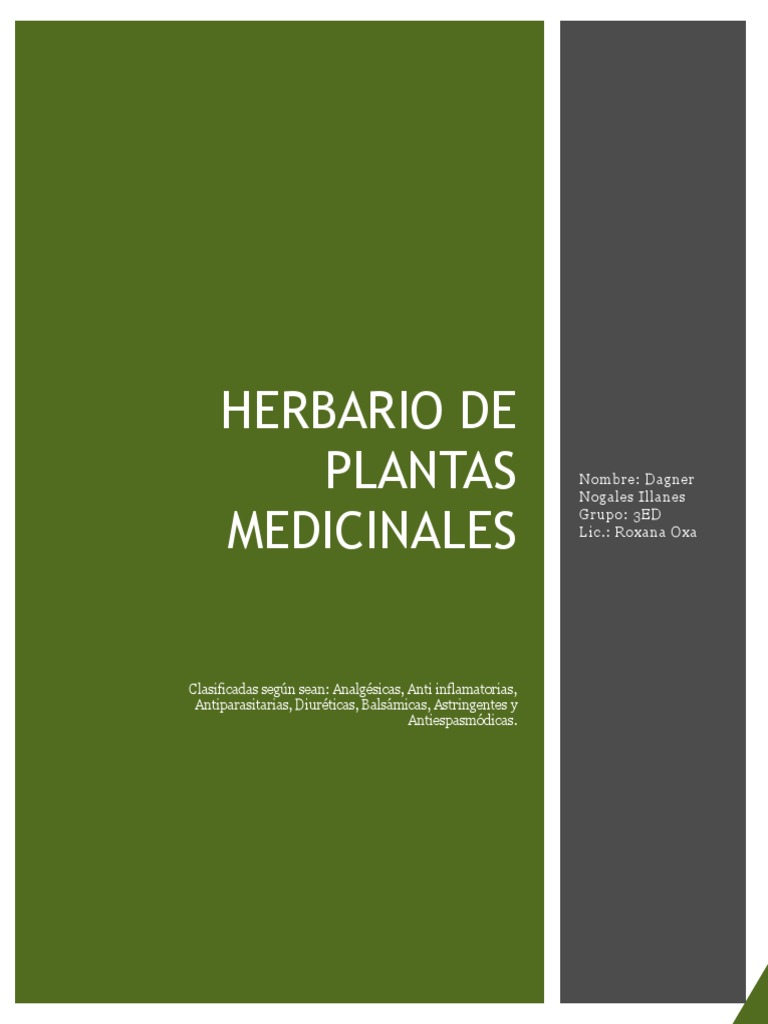 Herbario de Plantas Medicinales | PDF | Romero | Orégano