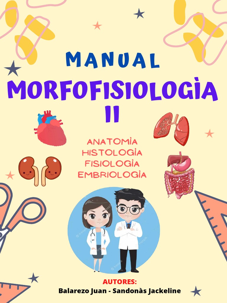 Manual Morfo II | PDF | Corazón | Ventrículo (corazón)