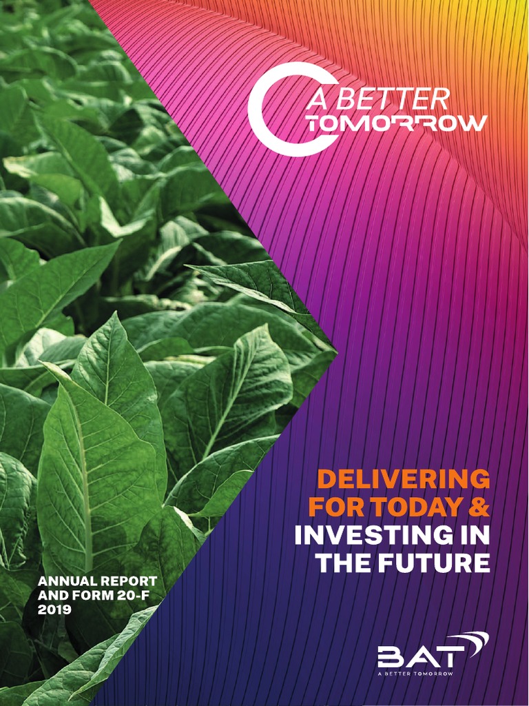 BAT Annual Report and Form 20-F 2019 | PDF | Board Of Directors ...