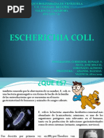 Microbiologia Cuestionario | PDF | Escherichia coli | Diarrea