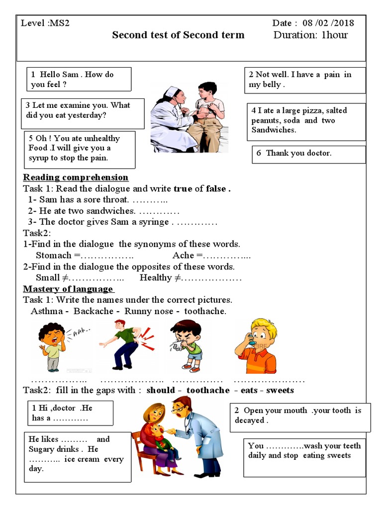 Oral Cavity: Anatomy, Tongue Muscles, Nerves And Vessels, 48% OFF