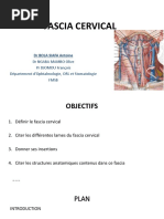 Anatomie de la veine jugulaire interne | PDF | Cou | Anatomie humaine