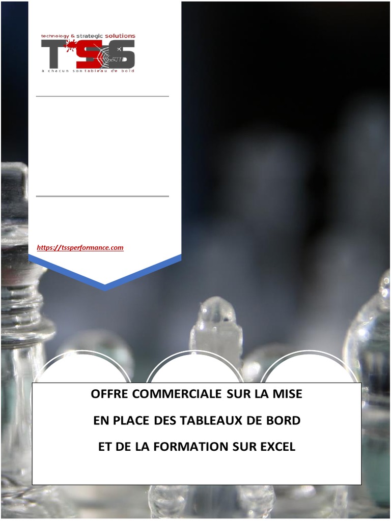 Presentation Offres TSS Performance | PDF | Gestion des ressources humaines | Business