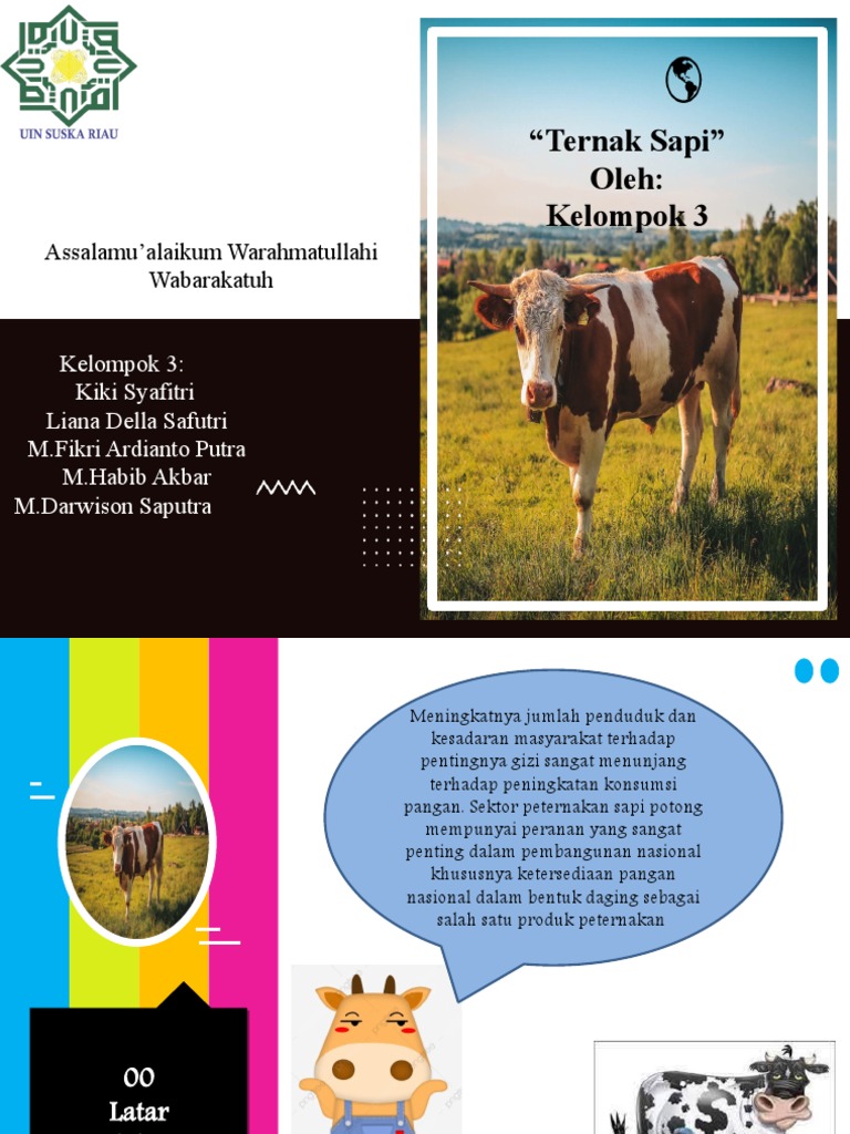 Ukuran Ideal Kandang dan Pakan Sapi | PDF