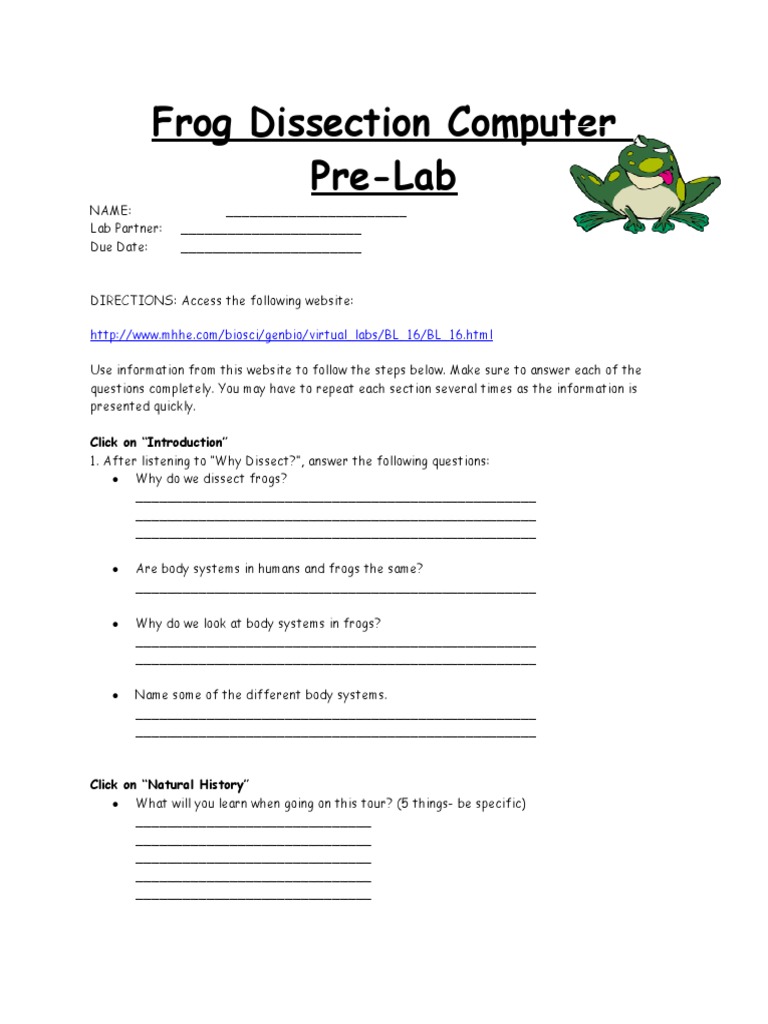 Frog Dissection Computer Pre-Lab Day 2 | PDF | Frog | Anatomy