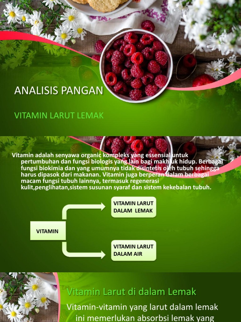 Analisis Vitamin Larut Lemak dan Metode Uji | PDF