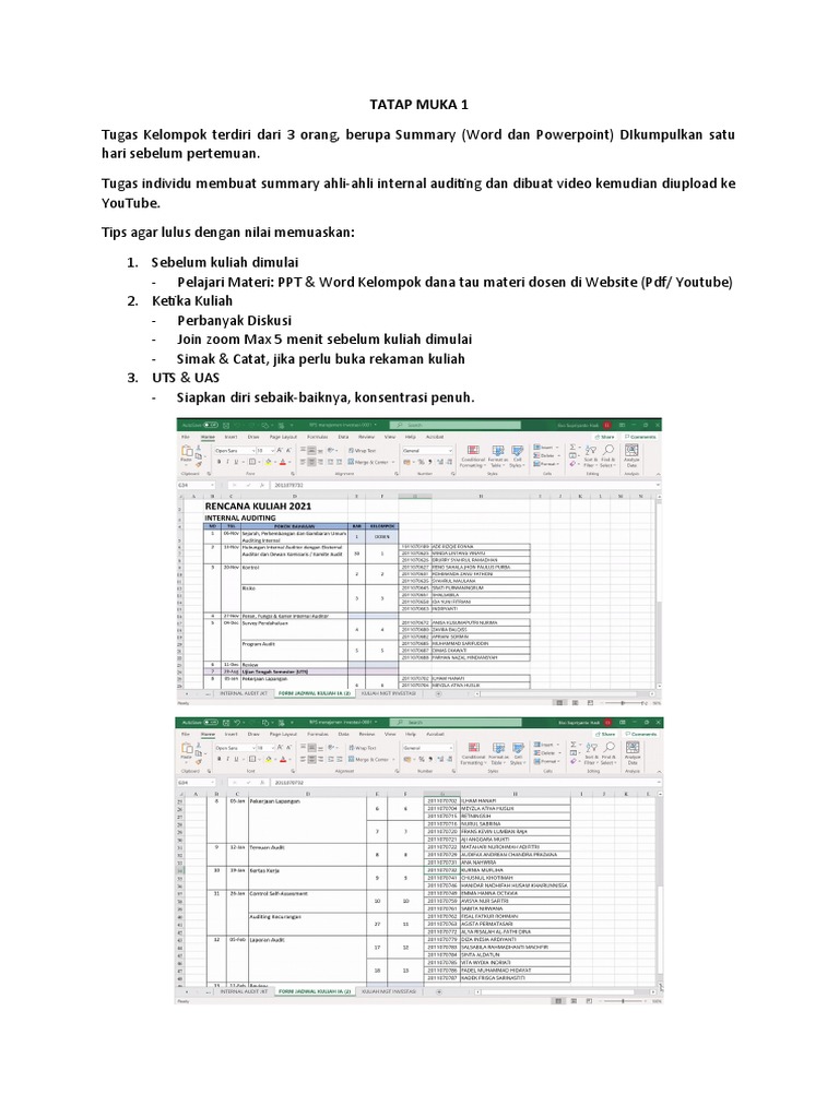 TM 01 - Internal Audit | PDF