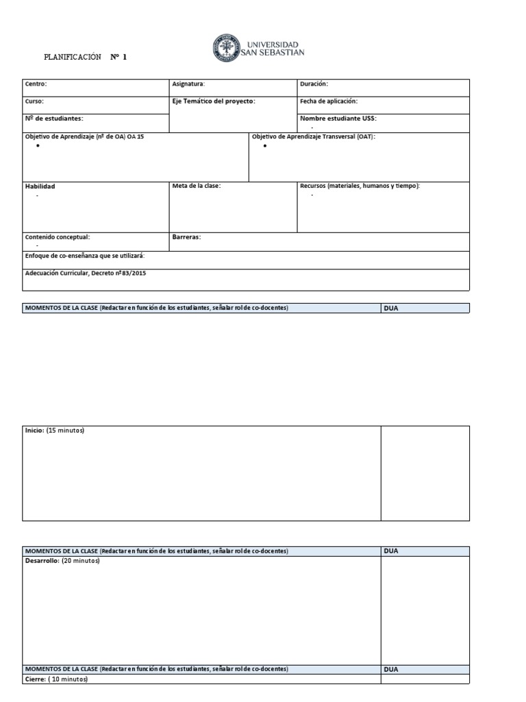 Formato DUA para Planificación Educativa | PDF