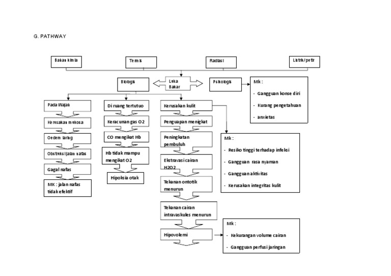 Pathway Luka Bakar | PDF