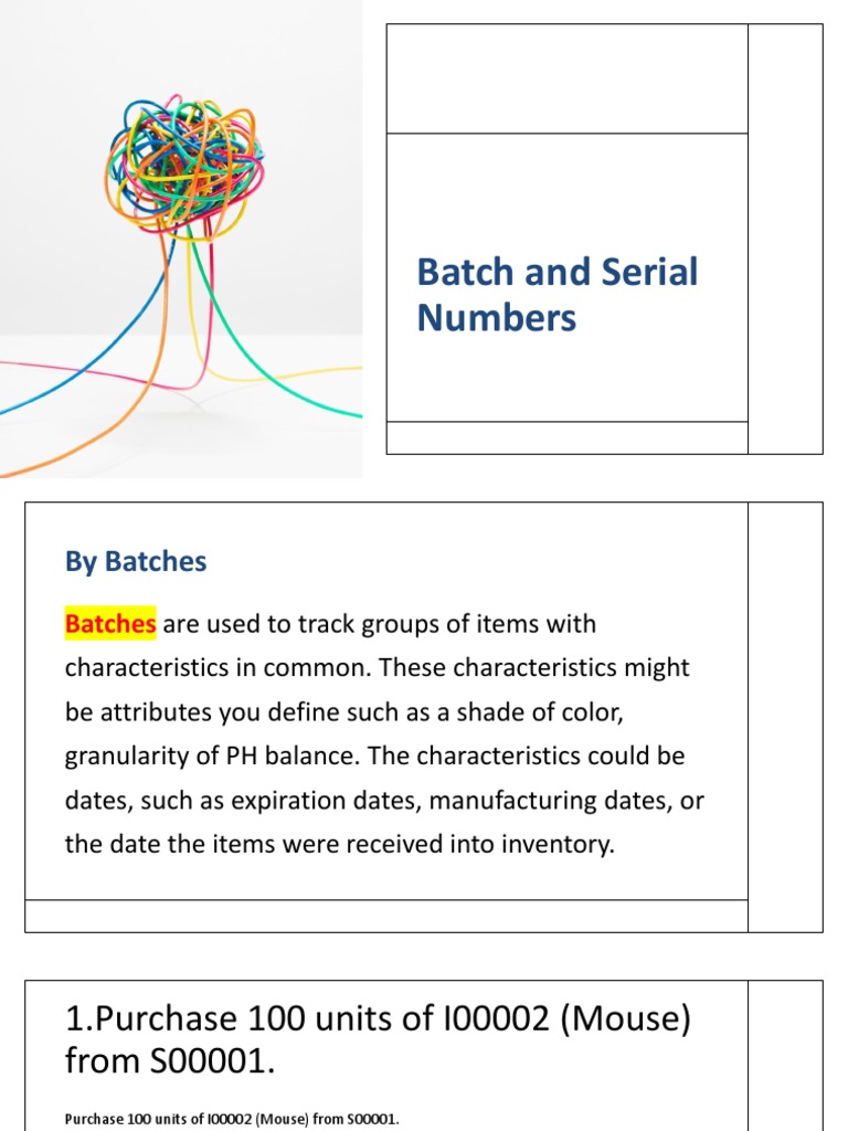 Batch and Serial Numbers | PDF | Inventory | Customer