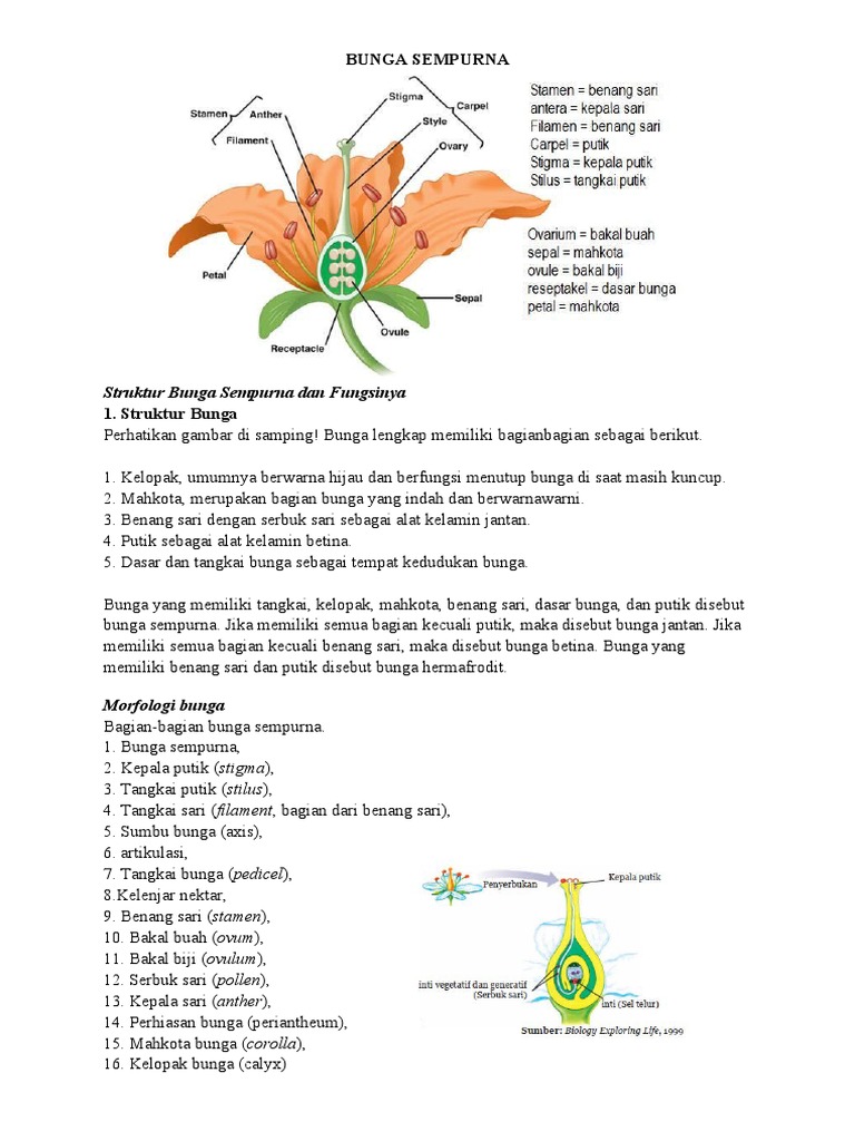 Bunga Sempurna | PDF | Seni & Disiplin Bahasa | Griya & Taman