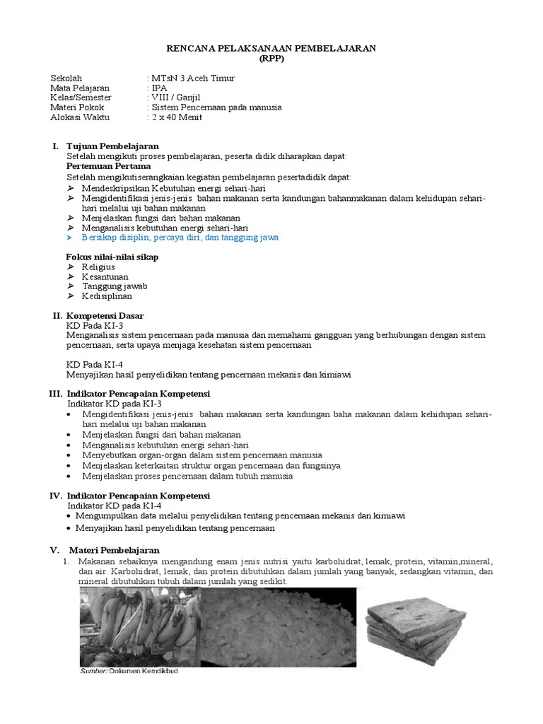RPP Sistem Pencernaan Manusia Kelas VIII | PDF