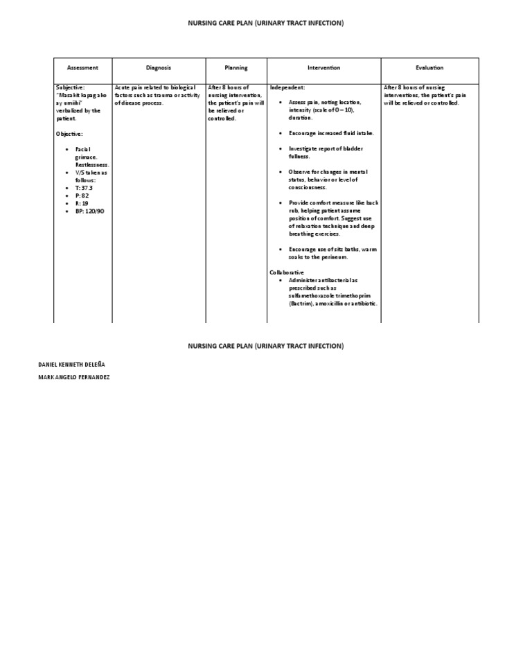 Nursing Care Plan UTI | PDF | Urinary Tract Infection | Pain
