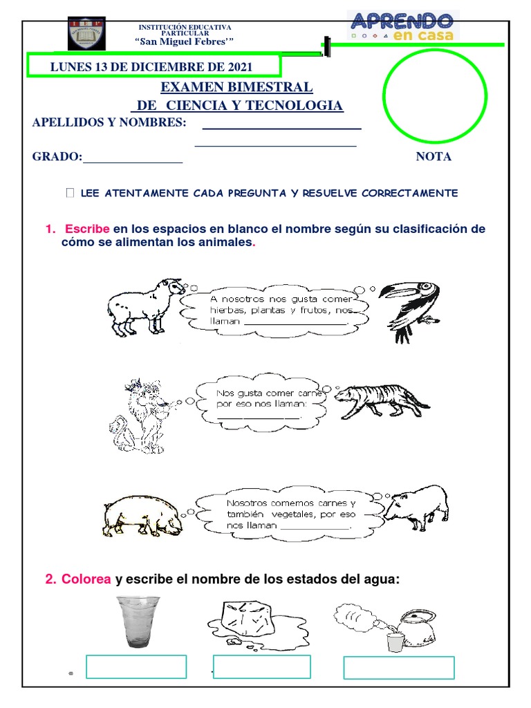 Examen de Ciencia y Tecnologia | PDF