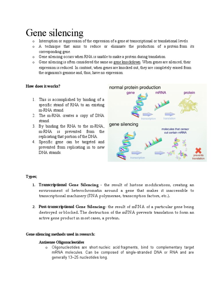 Gene Silencing: How Does It Works? | PDF | Gene Silencing | Gene