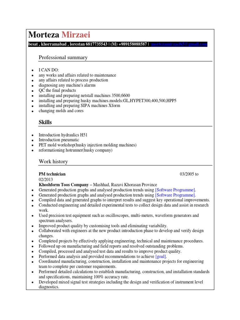 Morteza Mirzaei | PDF | Engineering | Technical Support
