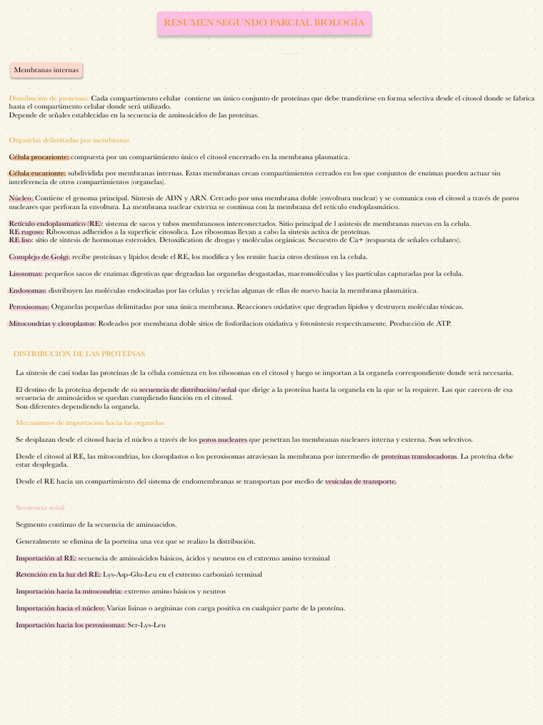 Membranas Internas | Descargar gratis PDF | Nucleo celular | Mitocondria