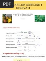 Skripta - Prehrana - Krvna - Grupa Nula 0 PDF Denis Beros | PDF