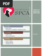 Veterinary Abbreviations and Acronyms | PDF | Clinical Medicine ...