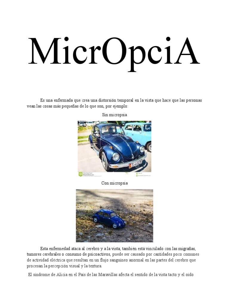 Micropsia | PDF | Relaciones personales, crianza y desarrollo personal ...