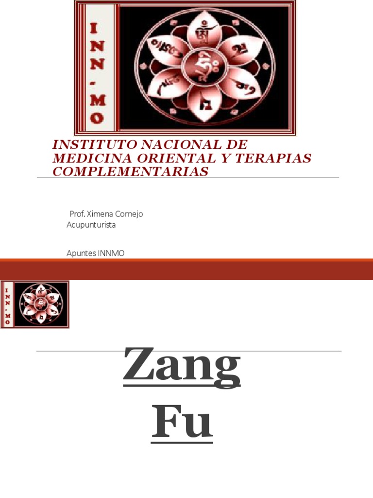 Apuntes sobre los órganos Zang-Fu según la Medicina Tradicional China ...