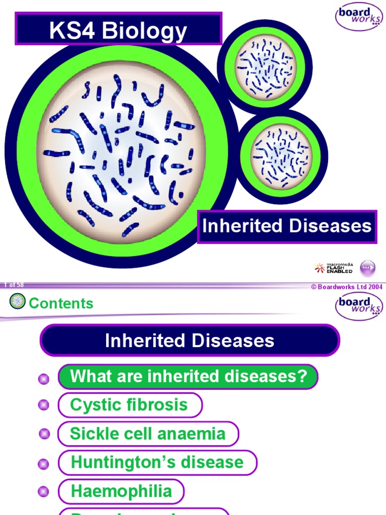 KS4 Biology: Inherited Diseases | PDF | Haemophilia | Genetic Disorder
