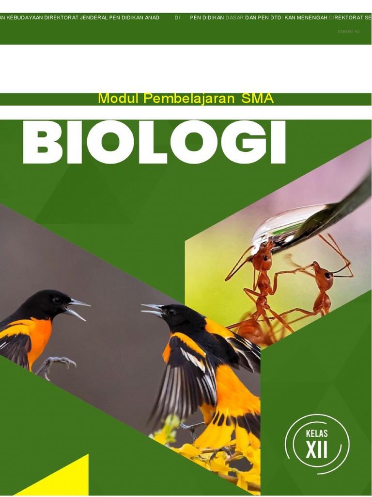 XII Biologi KD 3.7 Final-Dikonversi | PDF