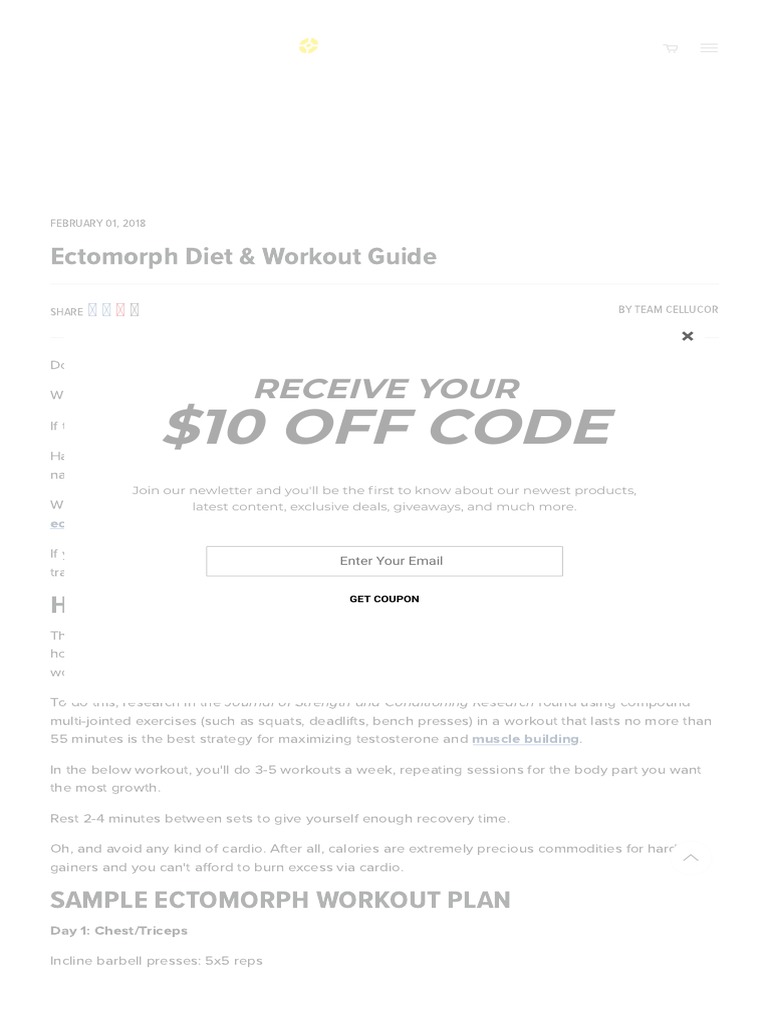 Ectomorph Diet & Workout Guide | PDF | Determinants Of Health | Food ...