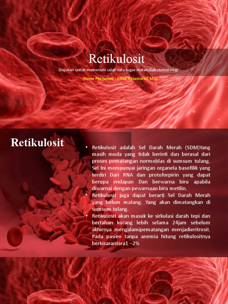 RETIKULOSIT (Autosaved) | PDF