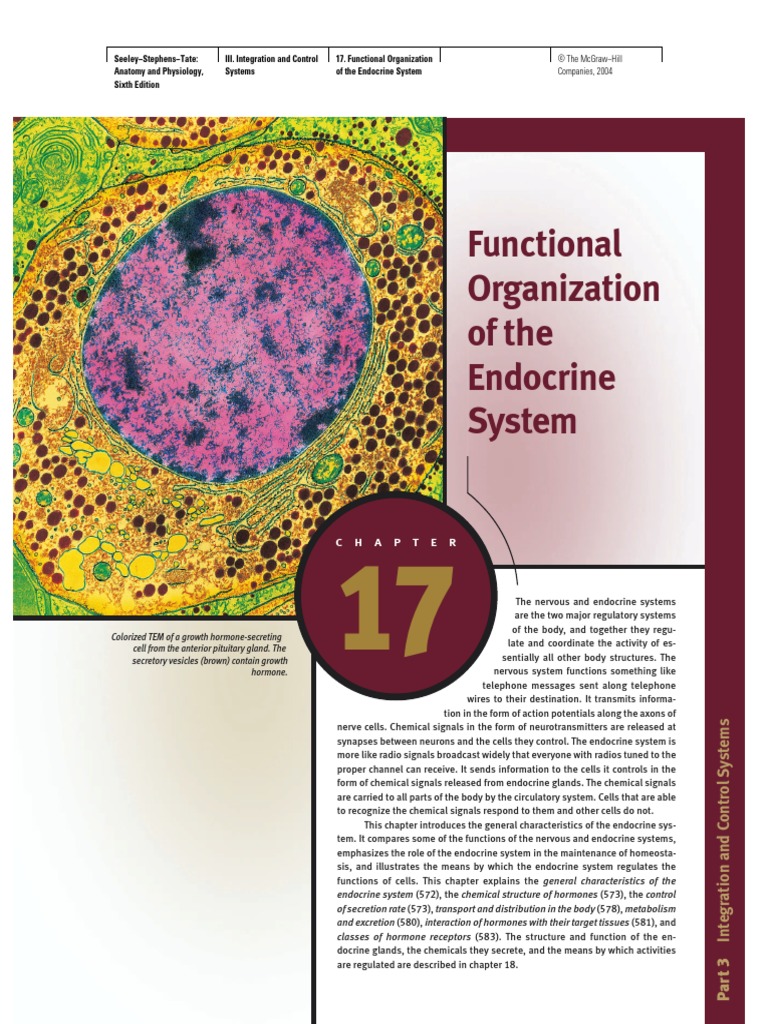 17 Functional Organization of The Endocrine System | PDF | Luteinizing ...
