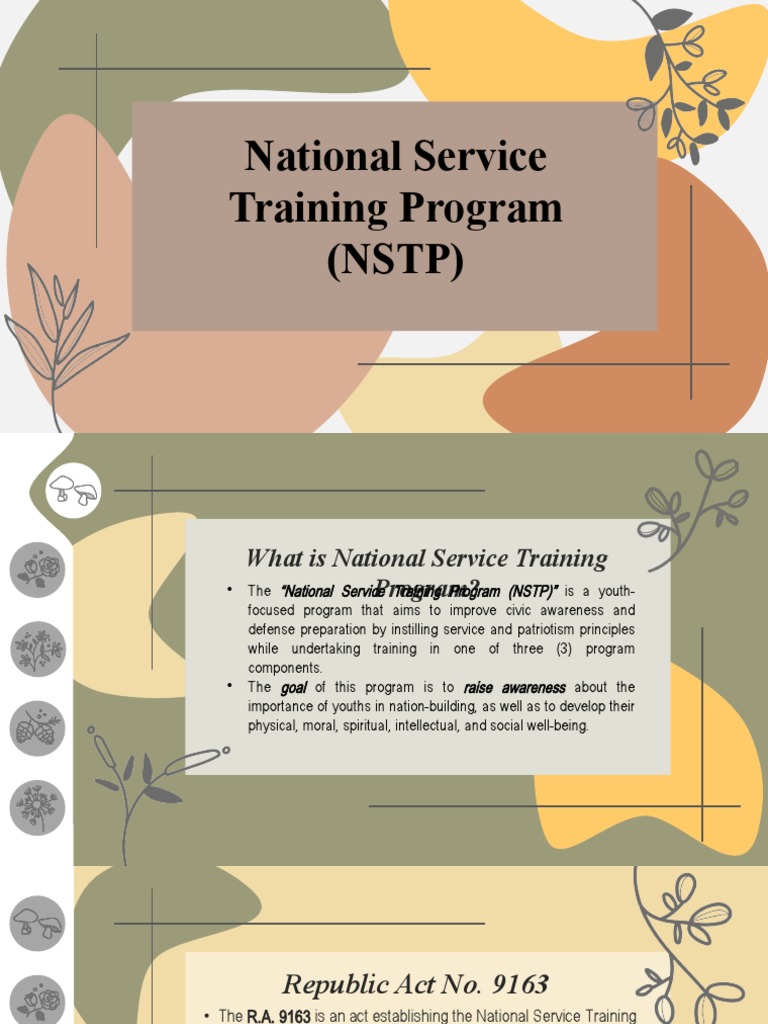NSTP Overview and Components Infographic | PDF | Government