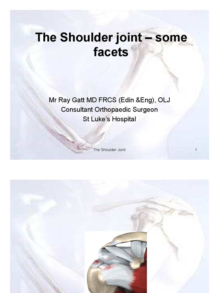 The Shoulder Joint | PDF | Shoulder | Anatomical Terms Of Motion