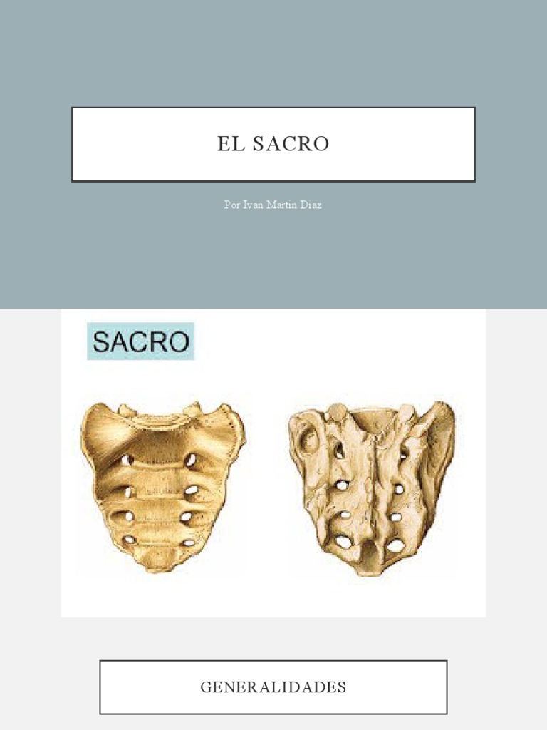 Sacro | PDF | Pelvis | Sistema musculoesquelético
