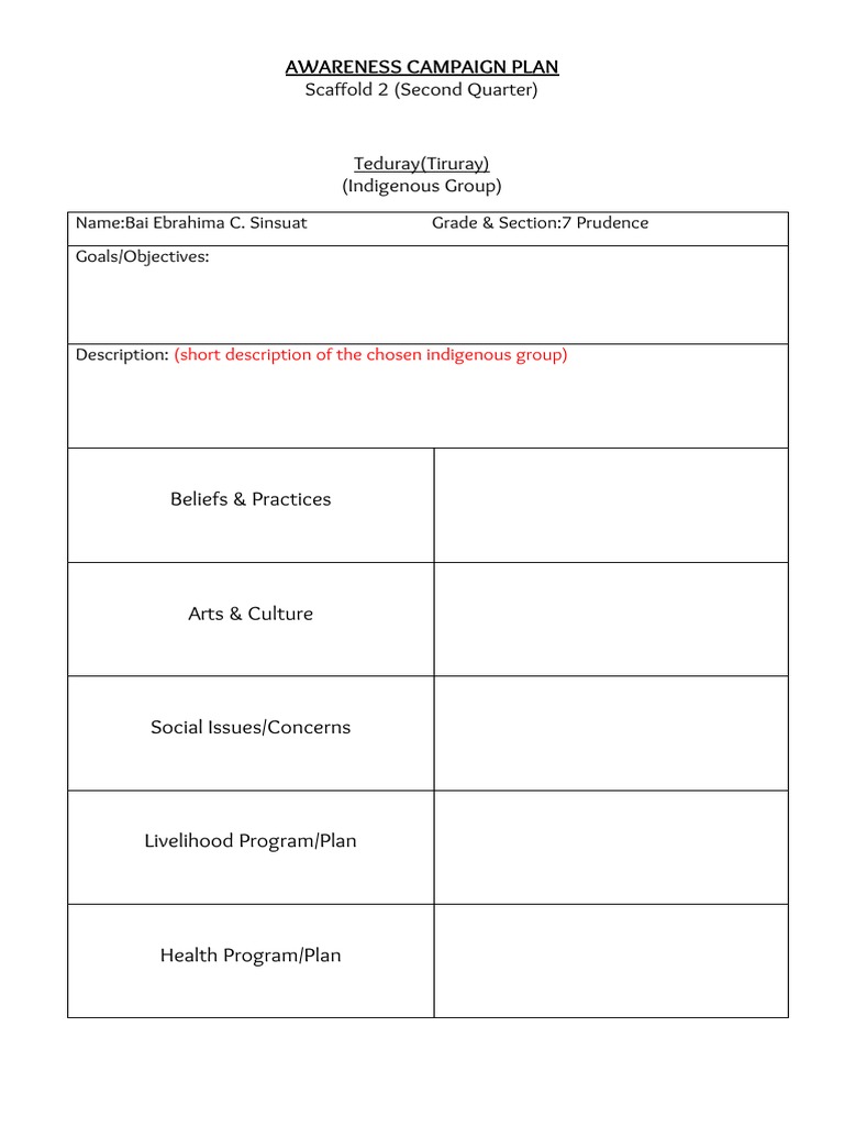 Awareness Campaign Plan | PDF