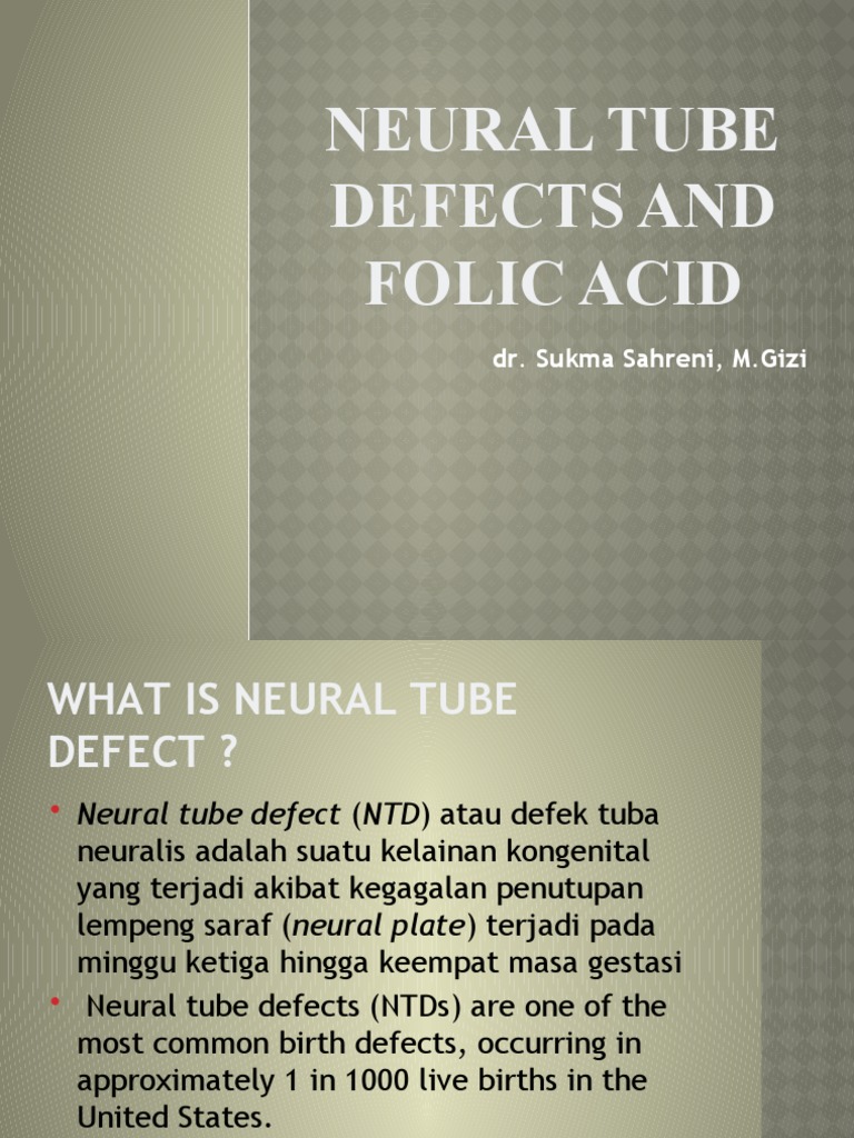 Neural Tube Defects and Folic Acid: Dr. Sukma Sahreni, M.Gizi | PDF ...
