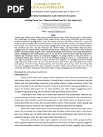 Struktur Primer dan Sekunder Geologi | PDF