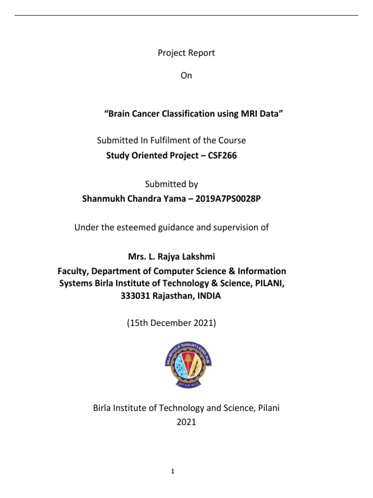 Brain Tumor Classification Project Report | PDF | Deep Learning | Artificial Neural Network