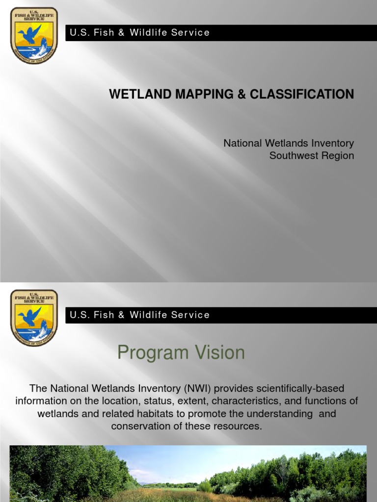 Wetland Mapping & Classification: U.S. Fish & Wildlife Service | PDF ...