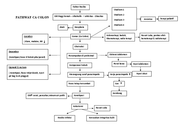 Pathway Kanker Kolon dan Penanganannya | PDF