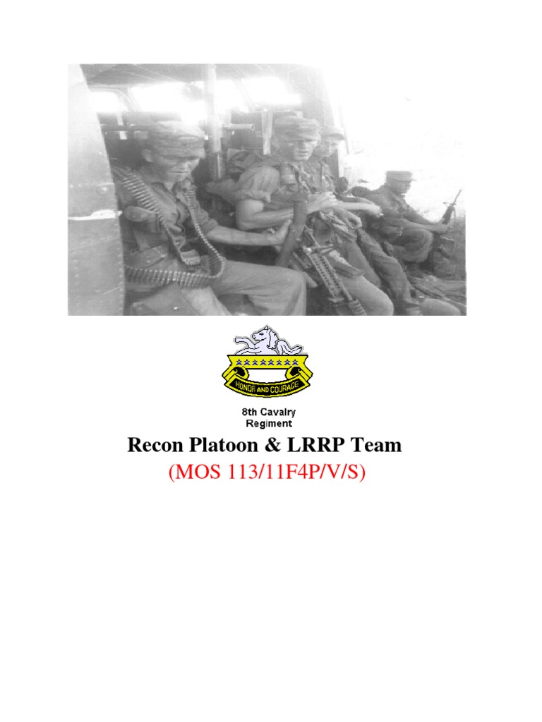Chinese Bandit Recon and LRRP Team Organization Chart 1965-66 | PDF ...