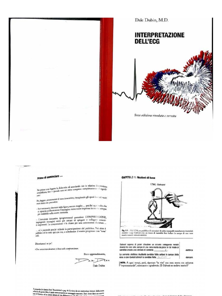Dubin | PDF