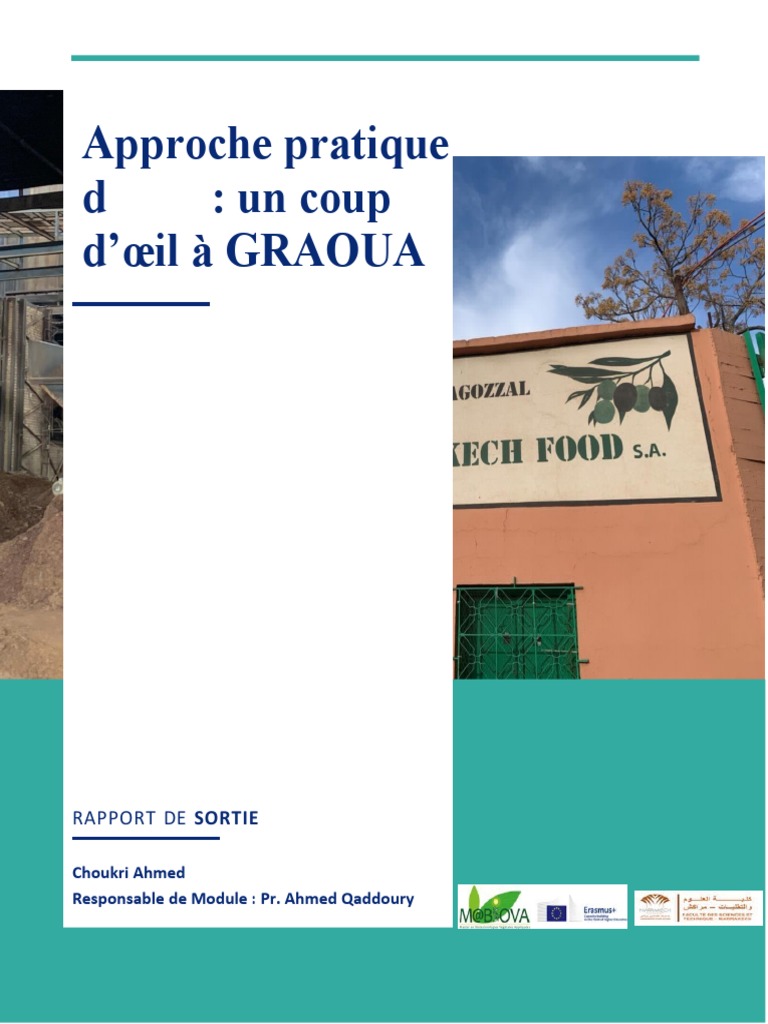 Rapport de Sortie | PDF | Irrigation | Fertilisant