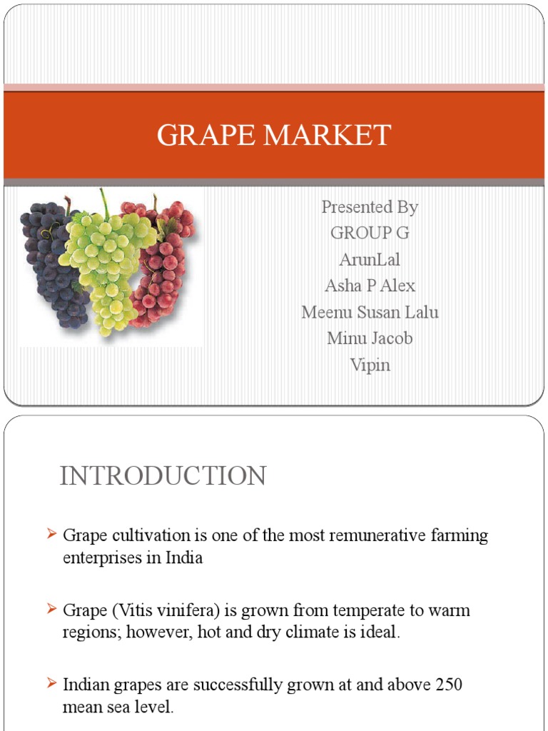 Grape Market: Presented by Group G Arunlal Asha P Alex Meenu Susan Lalu ...